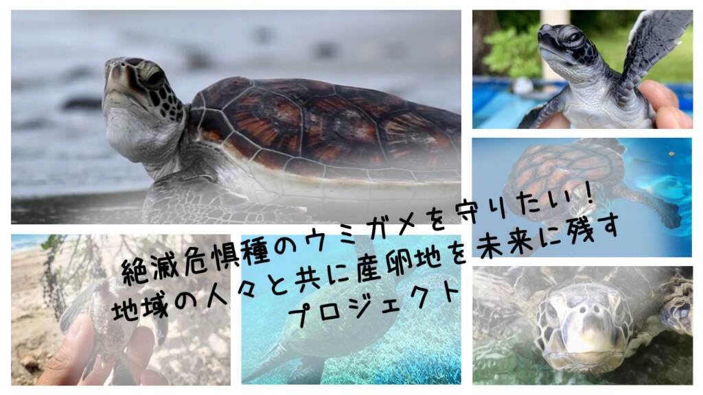 Syncable クラウドファンディングはじめました！ - 小笠原海洋センター